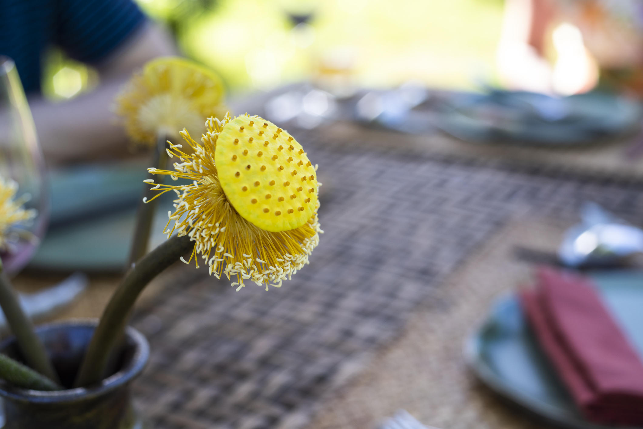 ChicBloom Luncheon - Tam Coc Garden